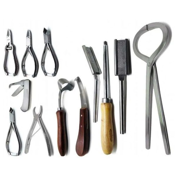 High-Quality Veterinary Surgical Instruments | CTORZ